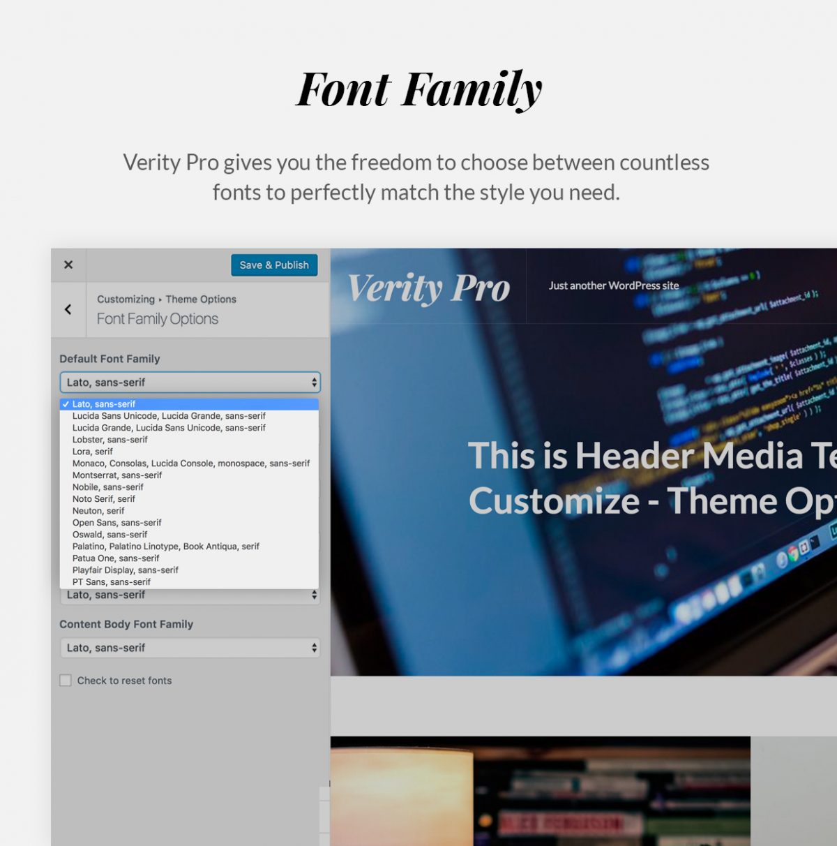 Verity Pro - Our New Blog and Portfolio WordPress Theme - Catch Themes