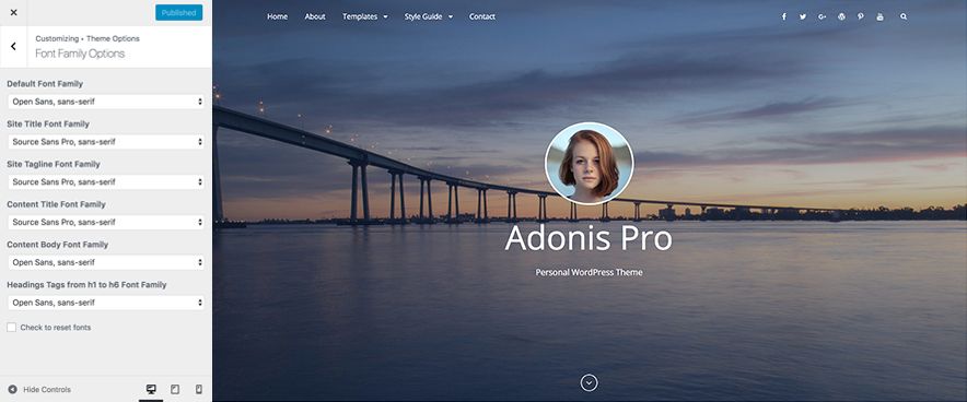 Adonis Pro - Catch Themes