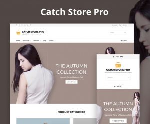 Introducing Catch Store Pro – Our New WordPress Theme for eCommerce ...