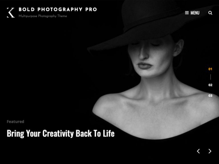 Top 10+ Free and Premium Photography WordPress Themes Collection
