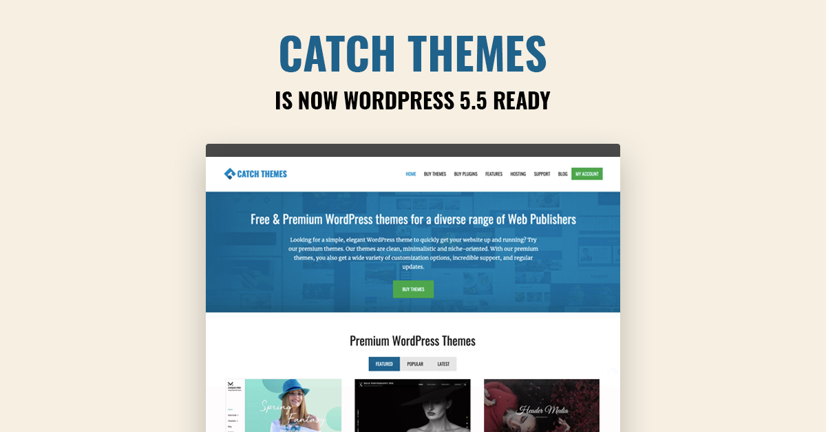 Catch Themes is now WordPress 5.5 Ready! - Catch Themes