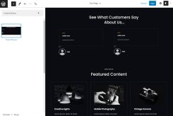 BizBoost Pro - Catch Themes