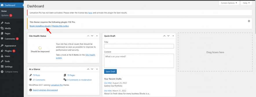 Lensation Pro - Catch Themes