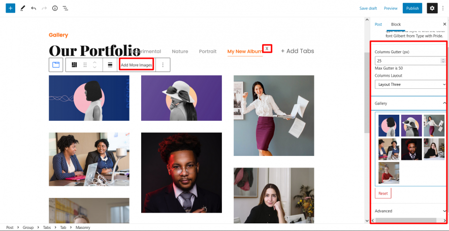 Lensation Pro - Catch Themes